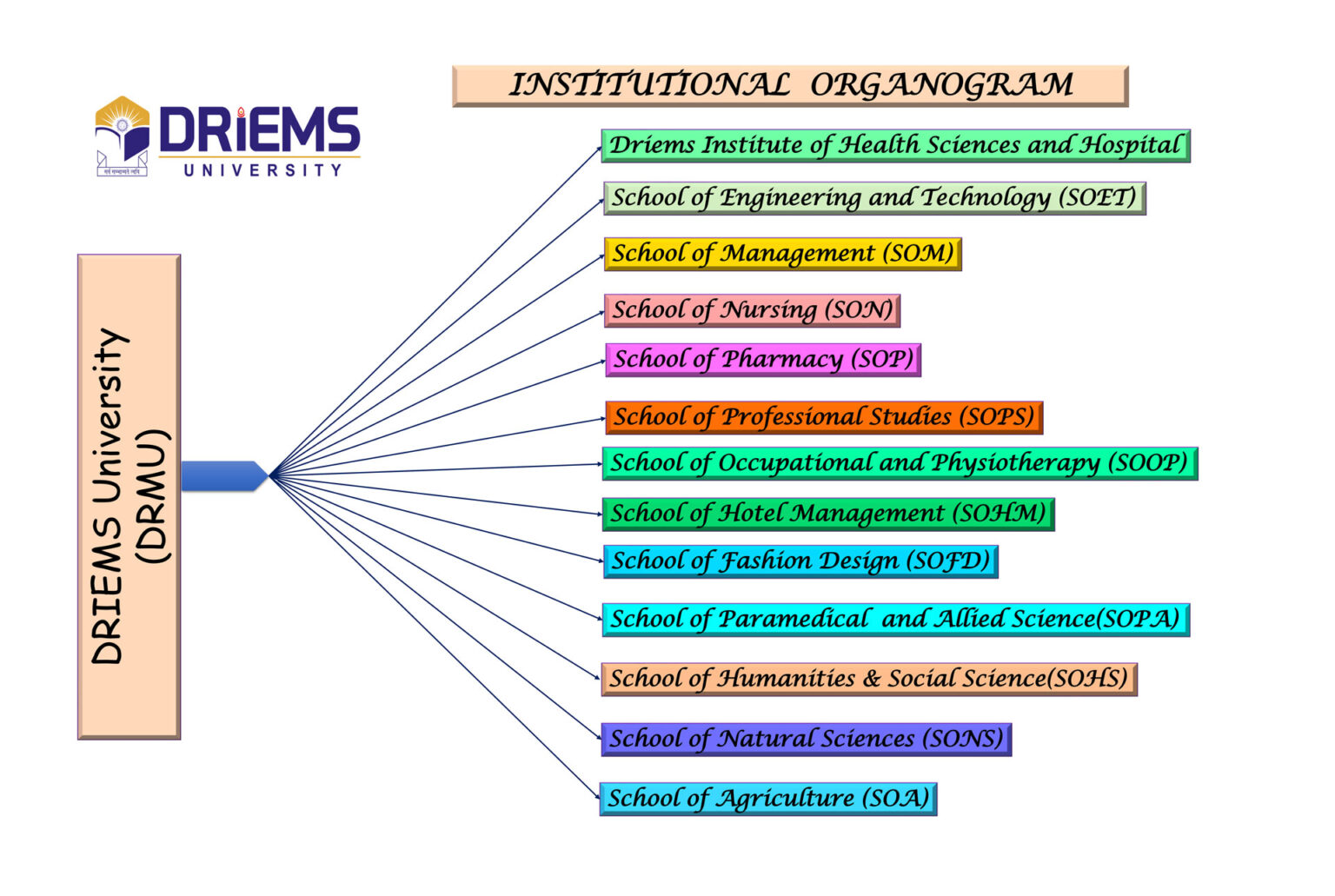 Organisational Structure – DRIEMS University